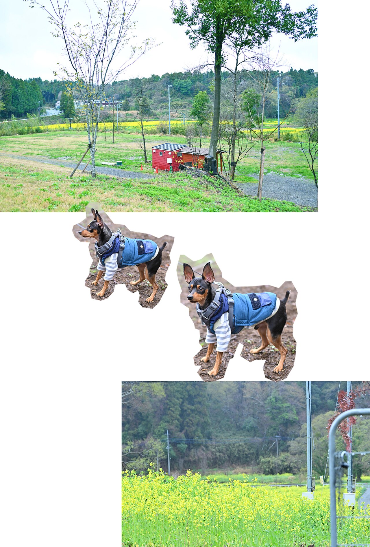 【特集】CRAHUGと楽しむ、アウトドアな休日 | ONWARD CROSSET